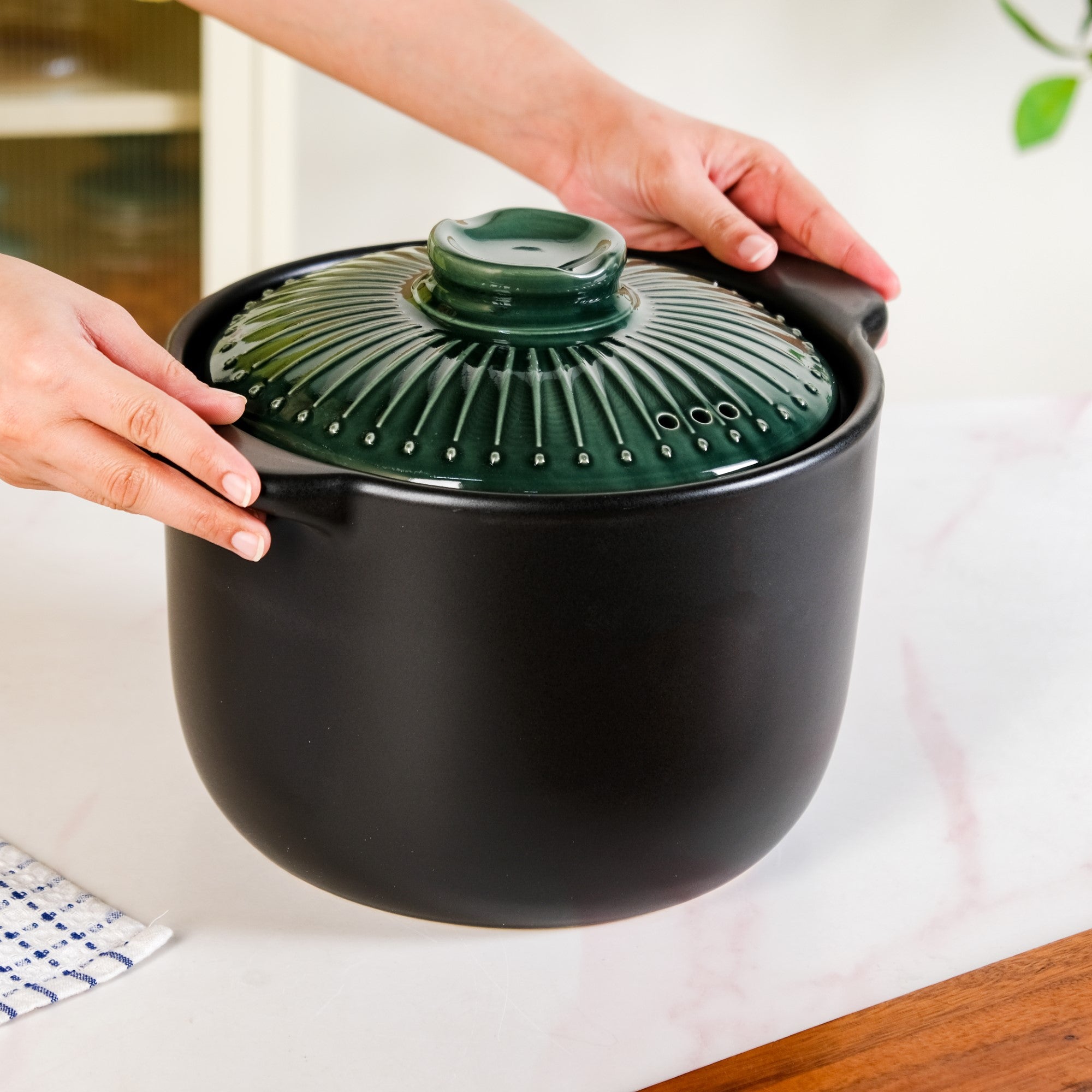 Botanica Ceramic Cooking Pot With Lid Green 5700ml Online - Premium ...