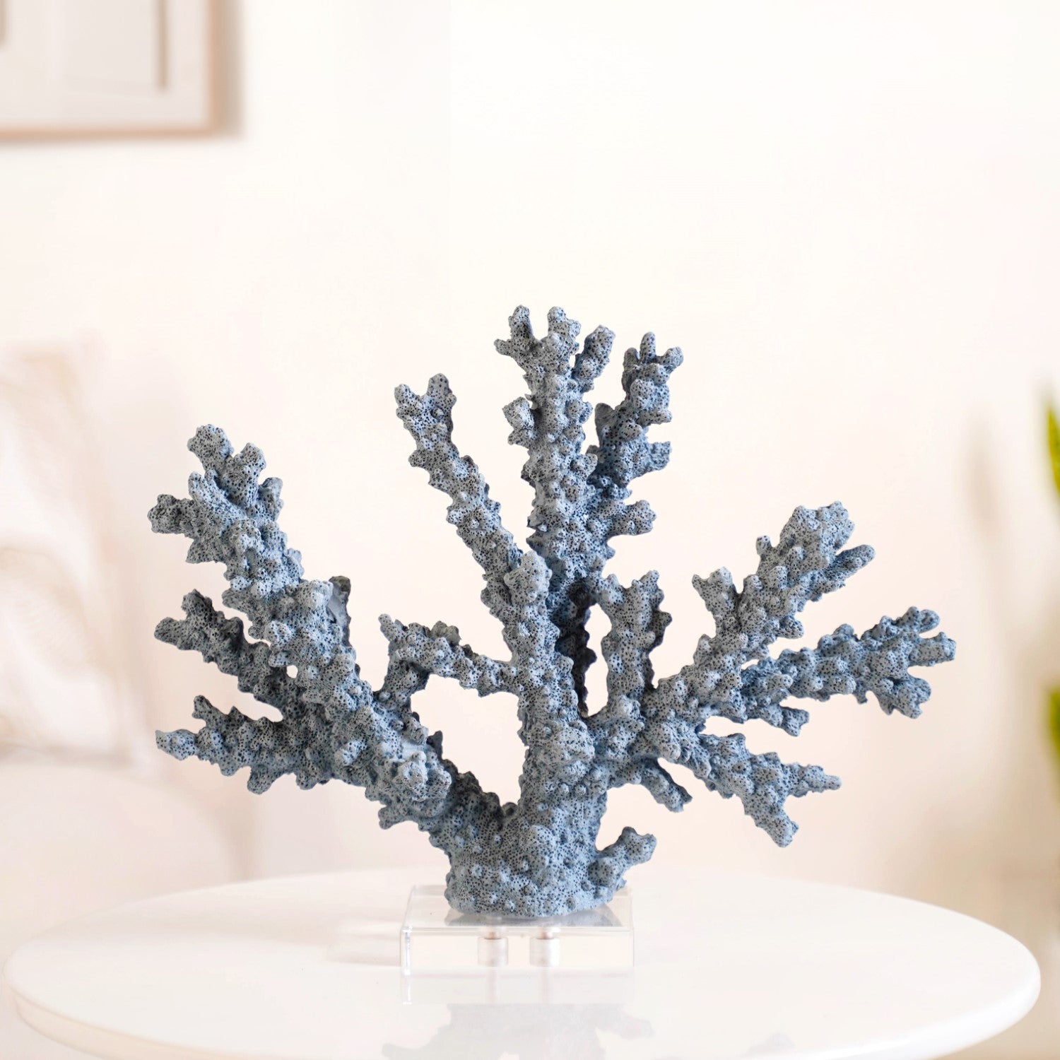Nautical Coral Decor Online - Premium Decor Object | Nestasia