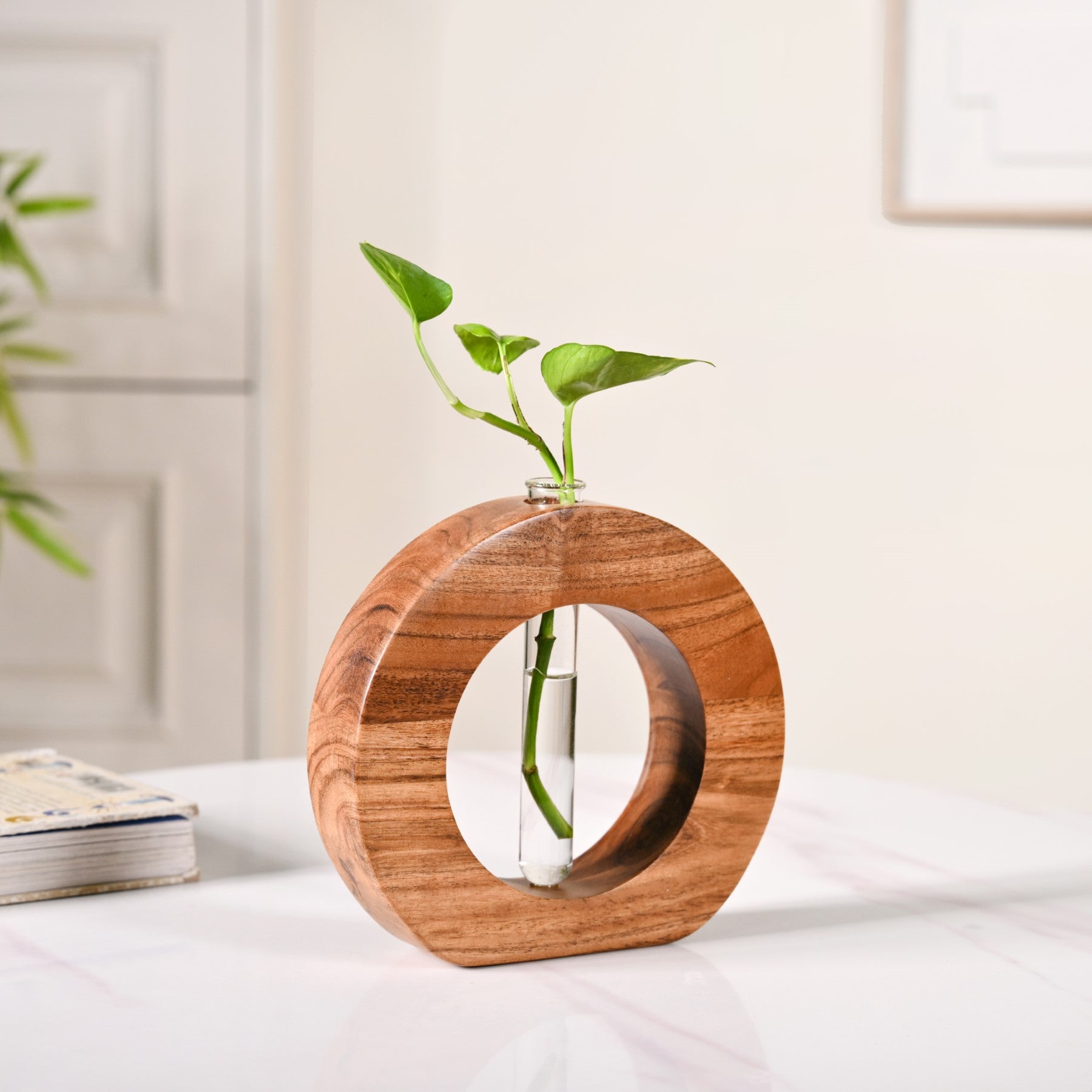 Ring Table Top Planter Online - Premium Planter | Nestasia