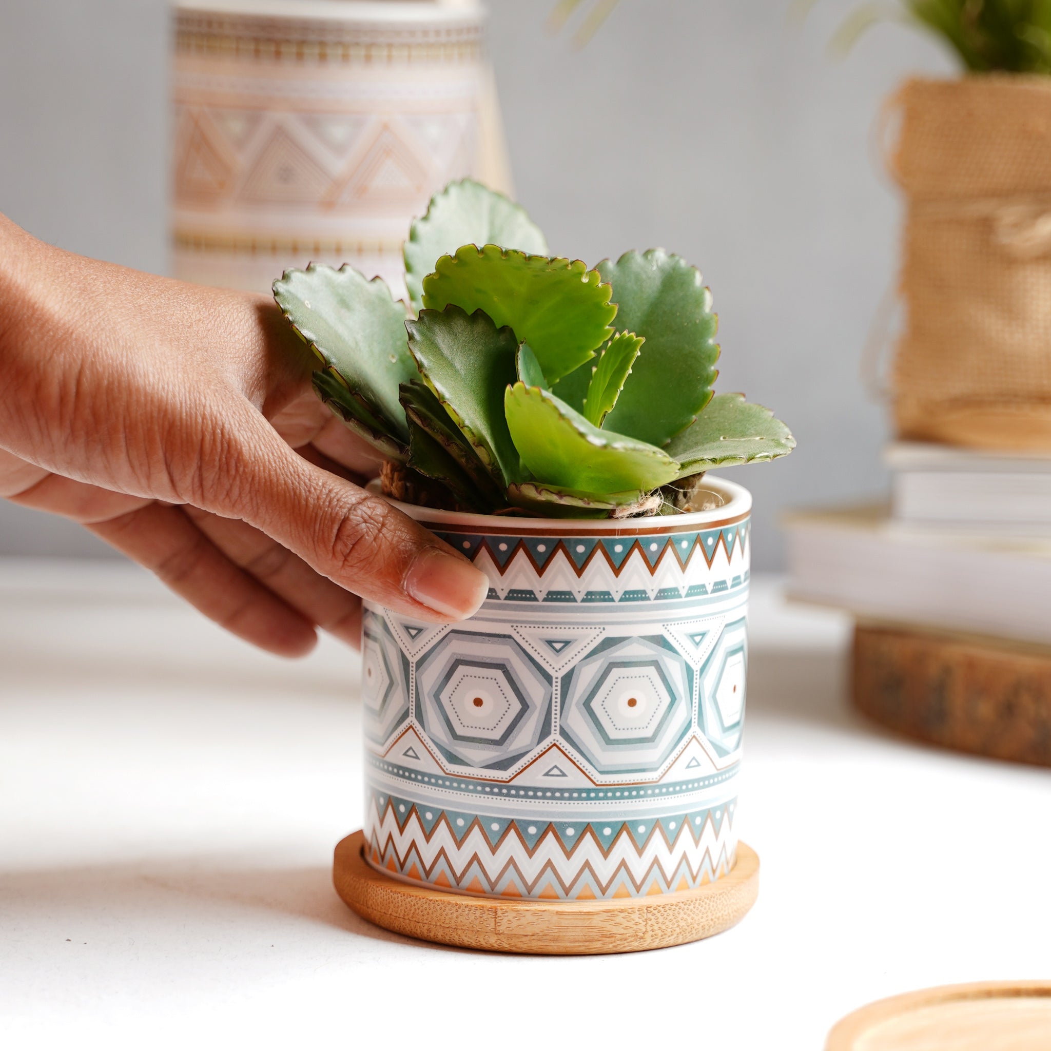 Bohemian Planter
