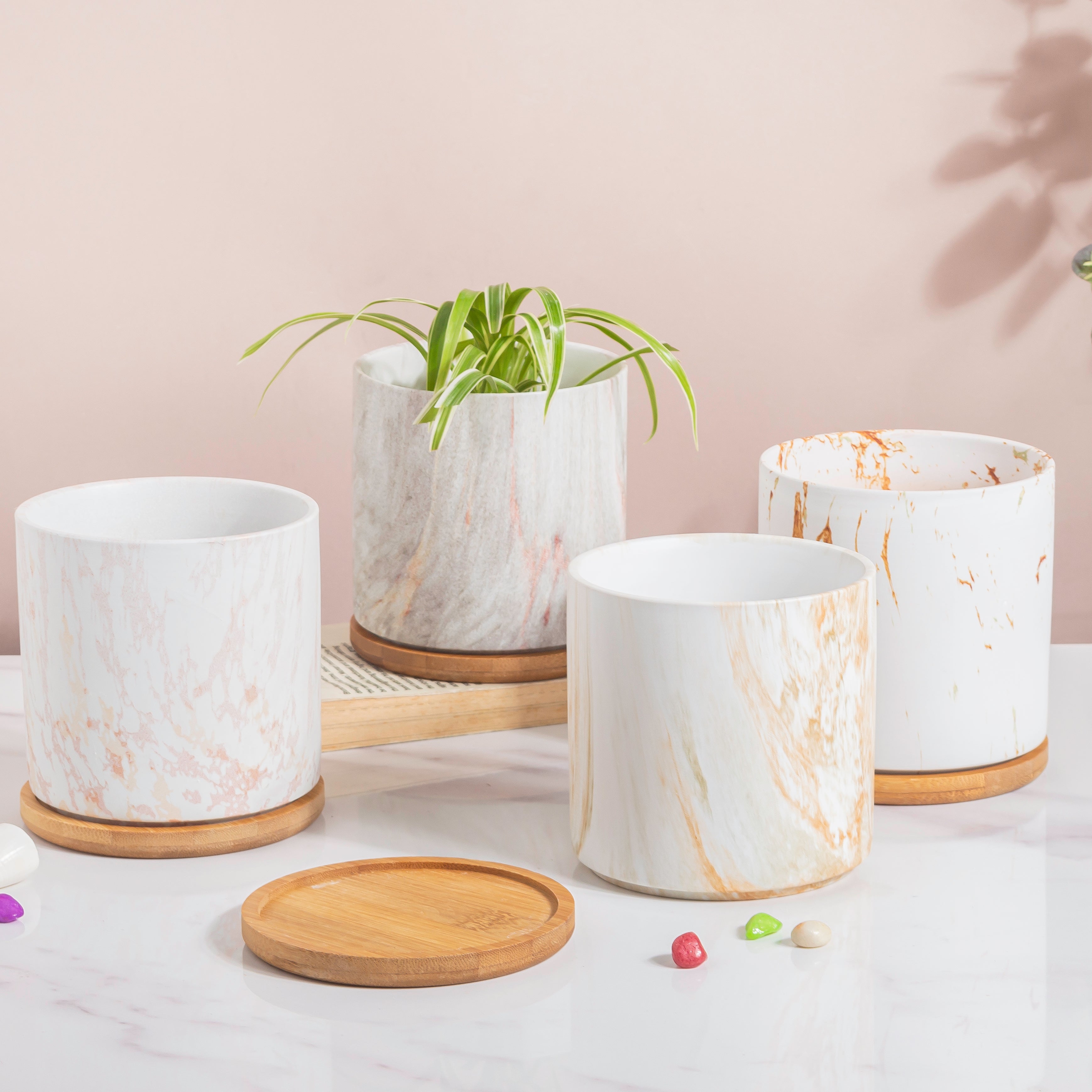 Carrara Ceramic Gold Detailed Planter With Wooden Coaster