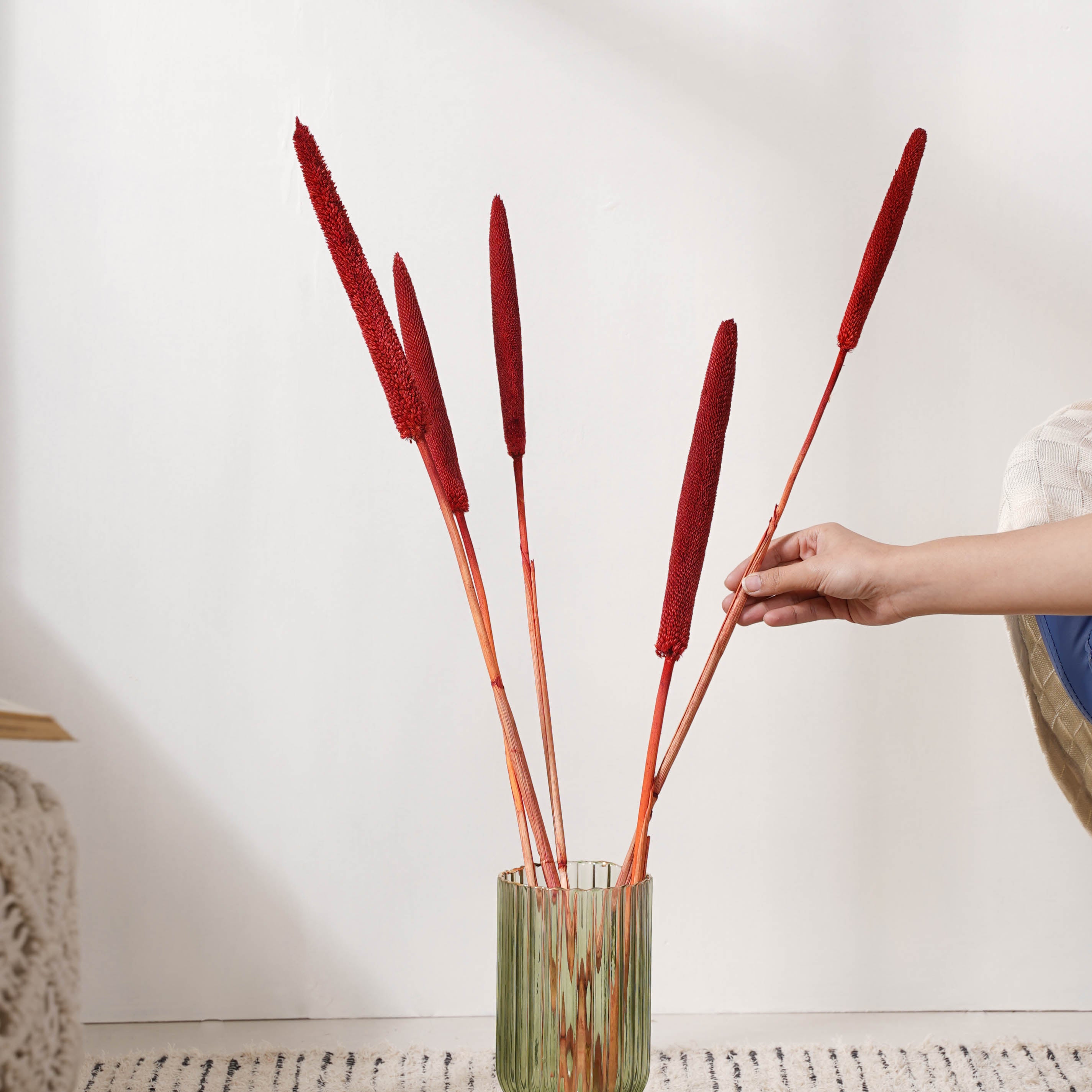 Millet Stem Red Online - Premium Dried Flower Stick | Nestasia