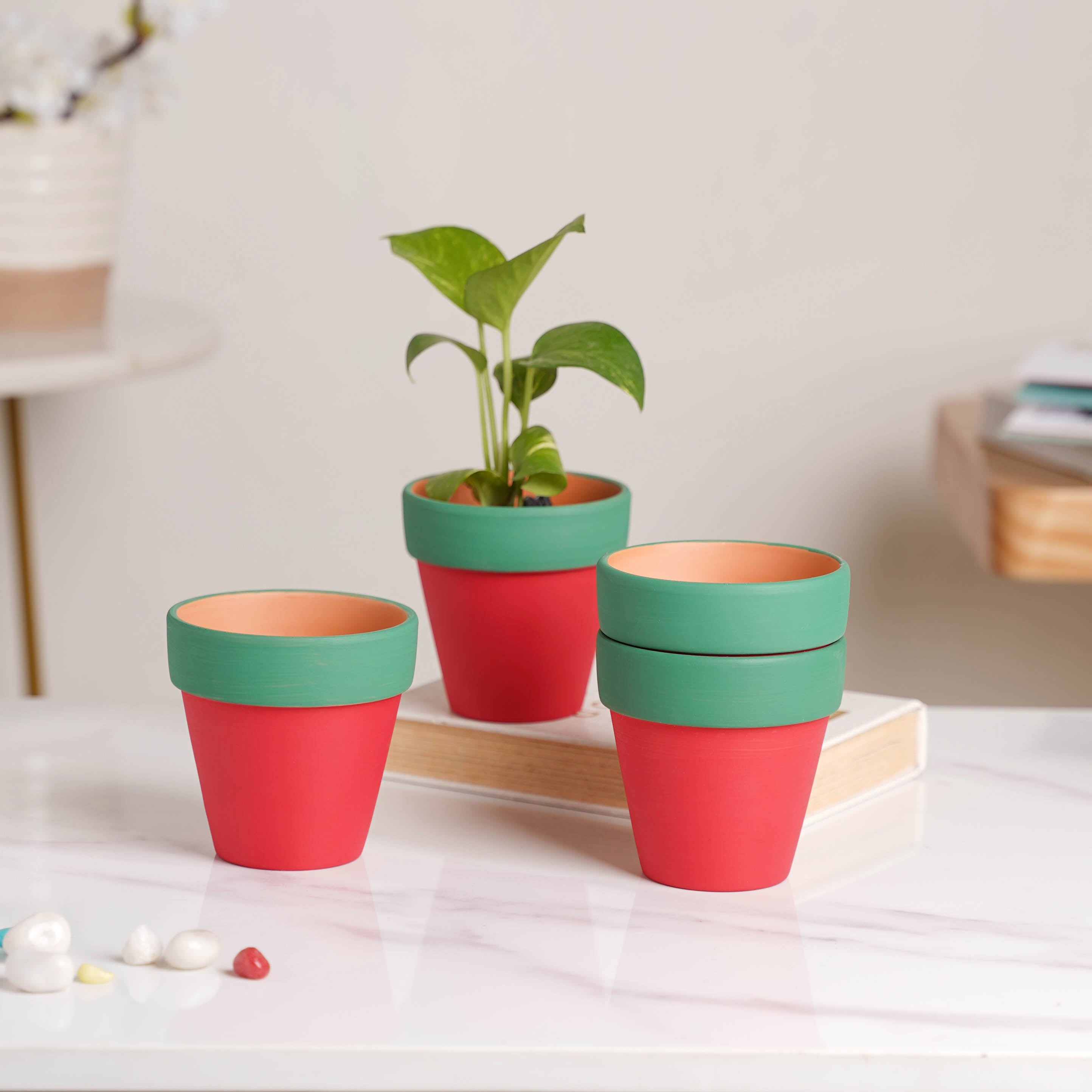 Green Rim Red Clay Pot Set Of 4 Online - Premium Planter | Nestasia