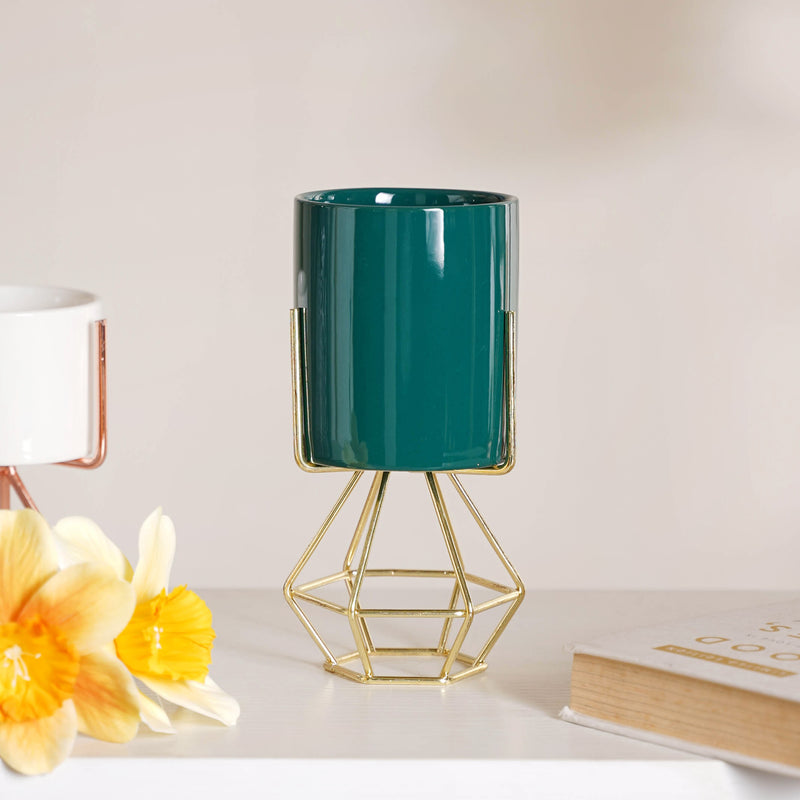 Modern Cylindrical Pot Online - Premium Planter | Nestasia