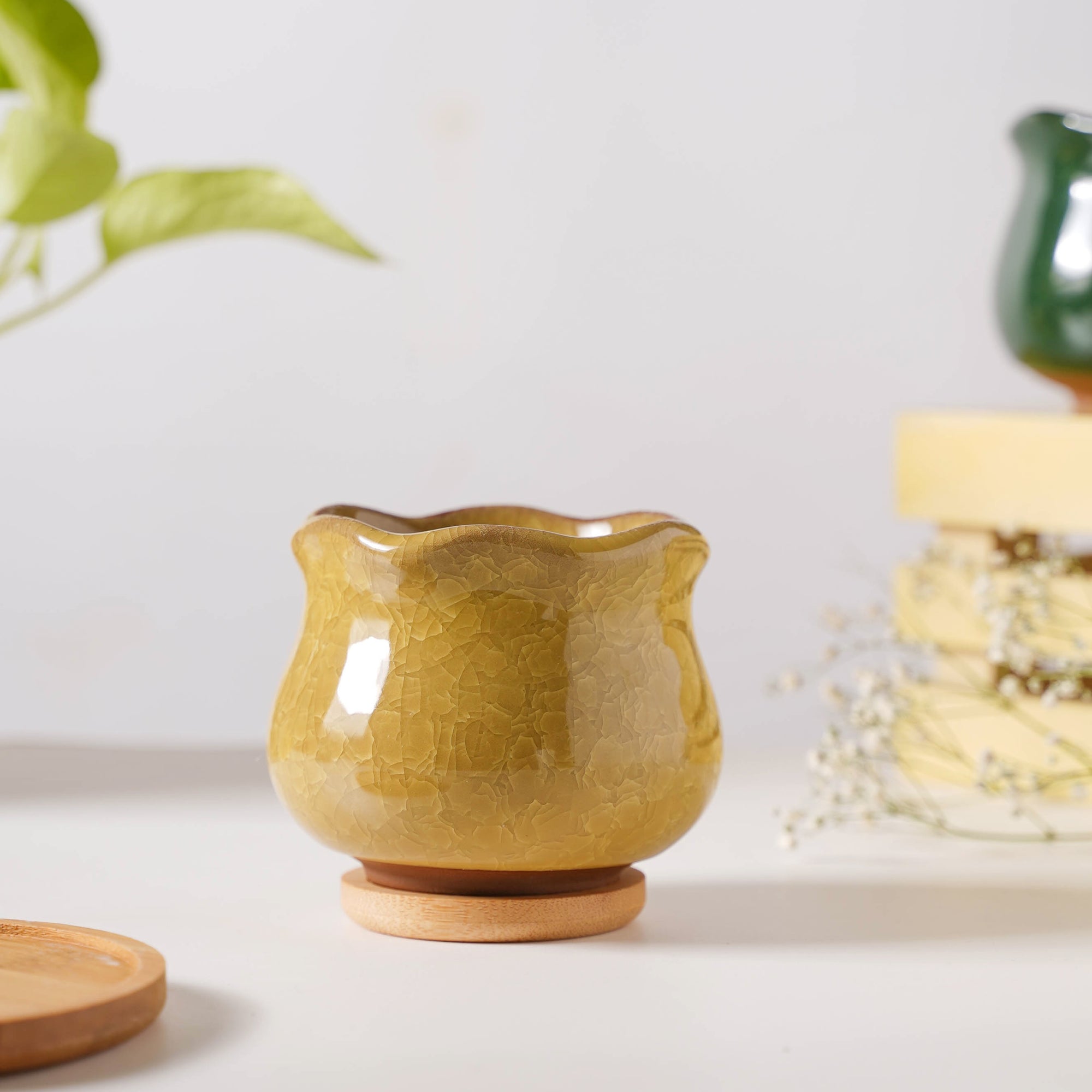 Botanica Ochre Ceramic Planter With Coaster Online - Premium Planter ...