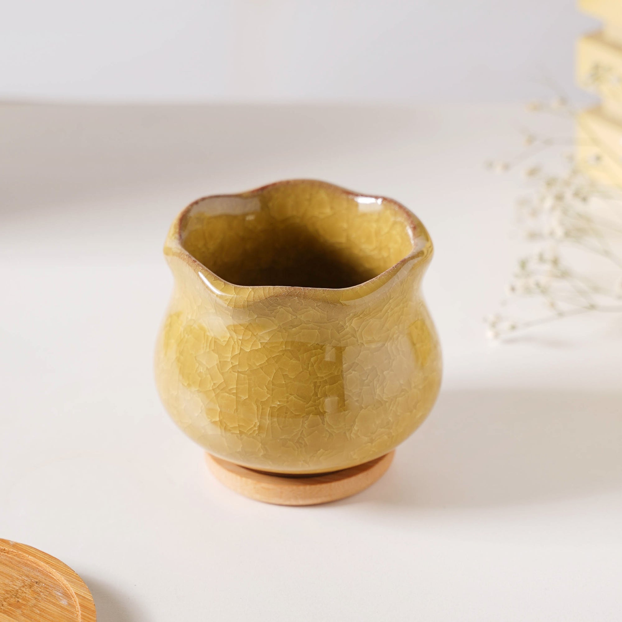 Botanica Ochre Ceramic Planter With Coaster Online - Premium Planter ...