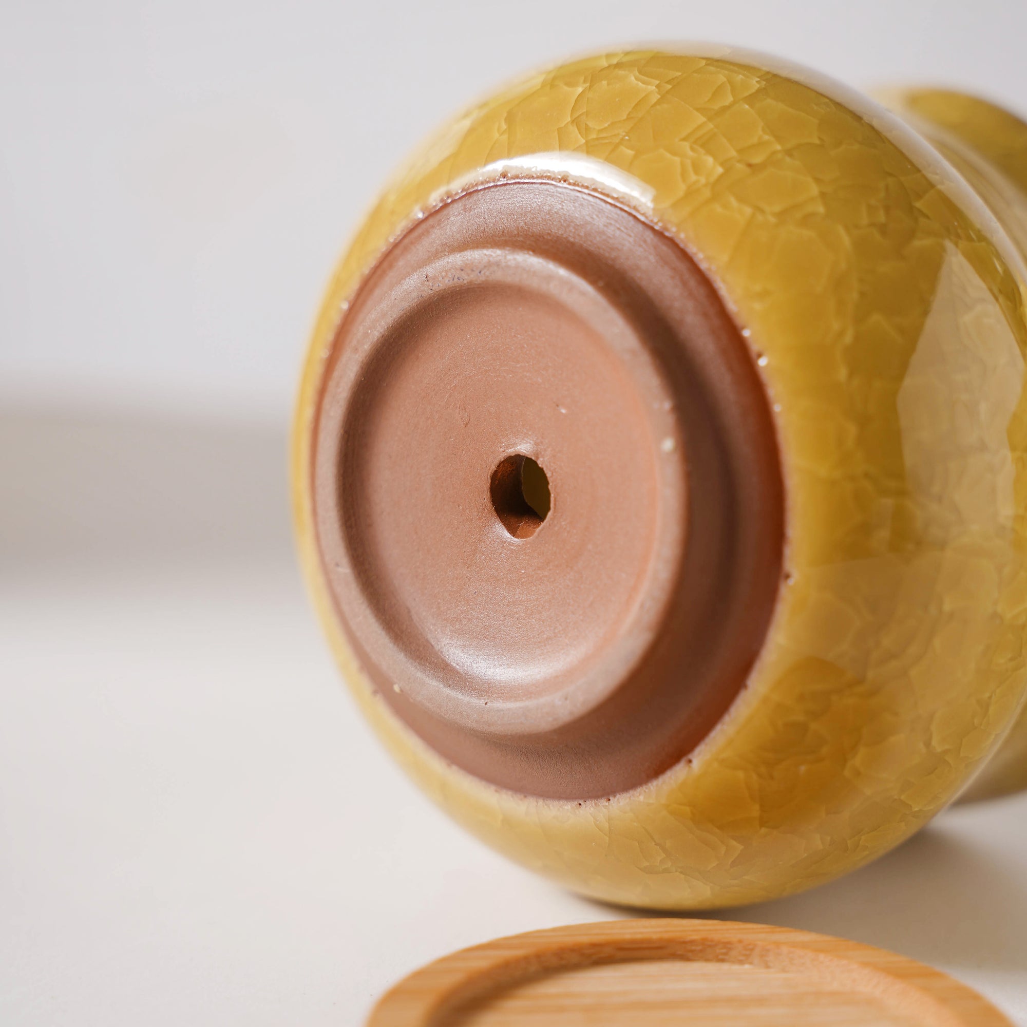 Botanica Ochre Ceramic Planter With Coaster Online - Premium Planter ...