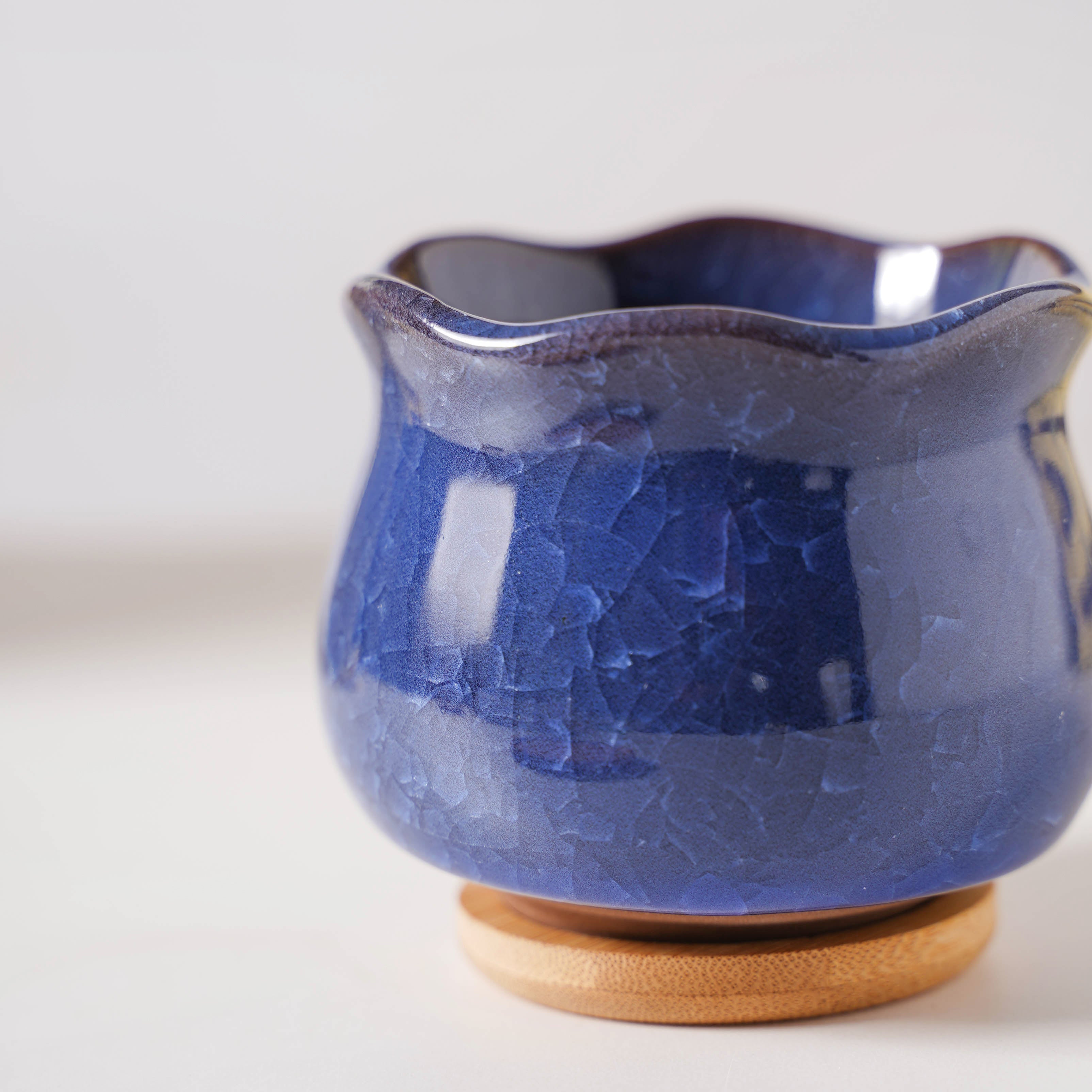 Botanica Azure Ceramic Planter With Coaster