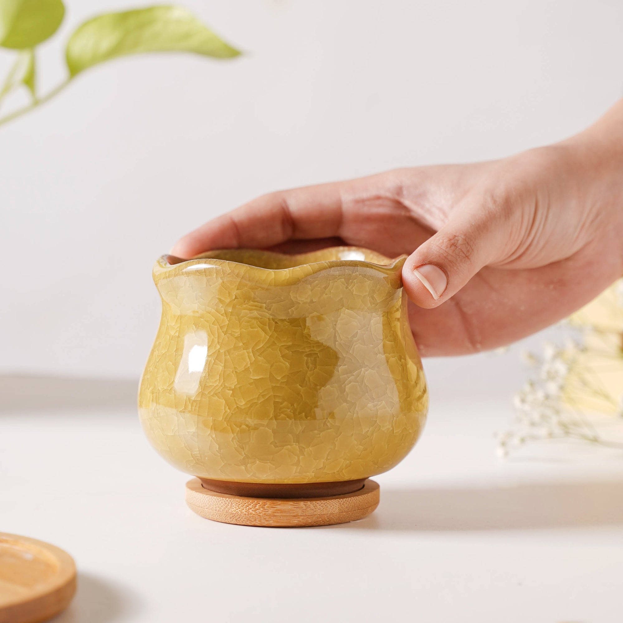 Botanica Ochre Ceramic Planter With Coaster Online - Premium Planter ...