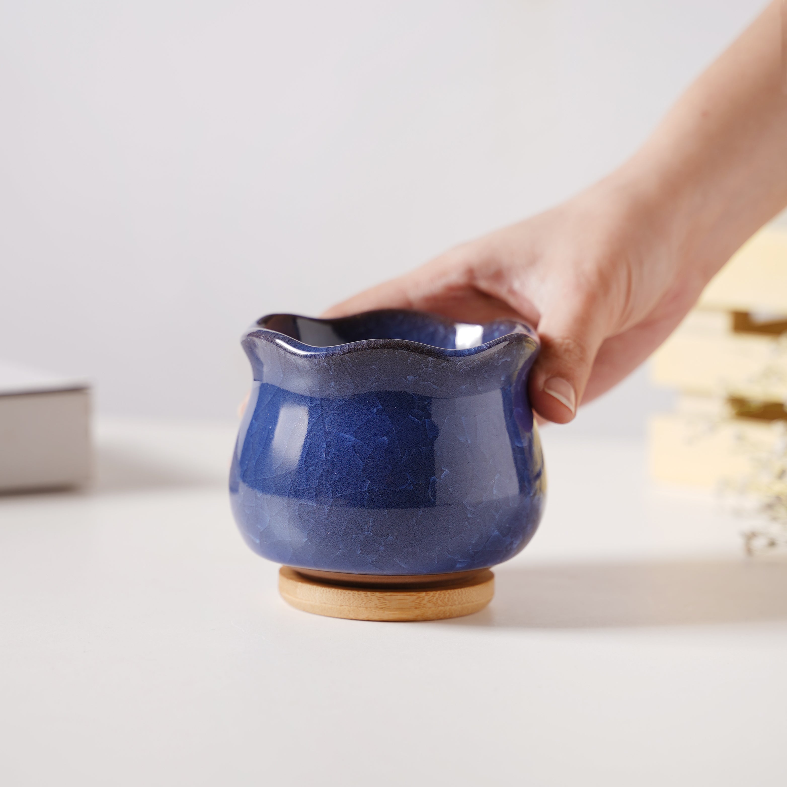 Botanica Azure Ceramic Planter With Coaster