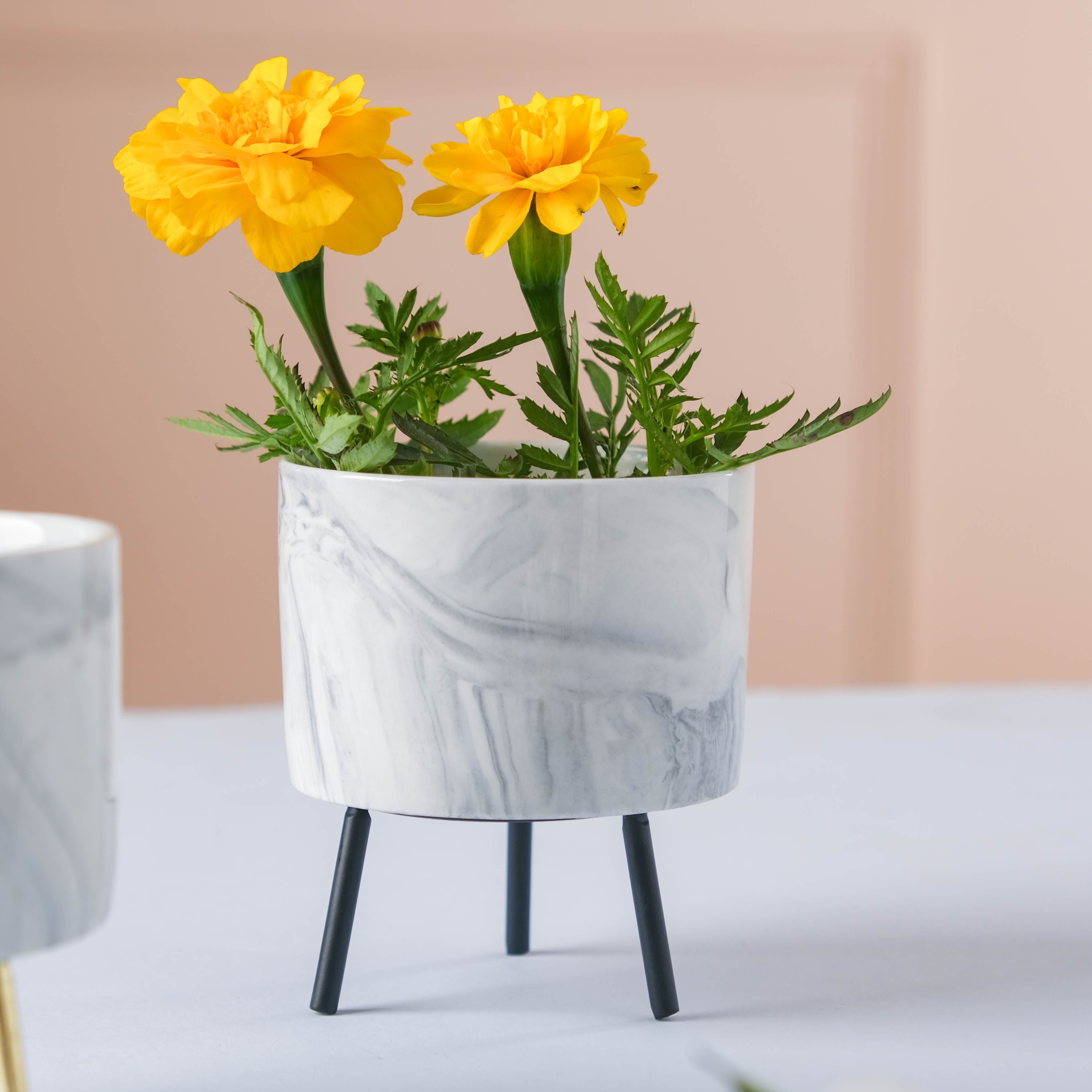 Small Marble Ceramic Indoor Planter
