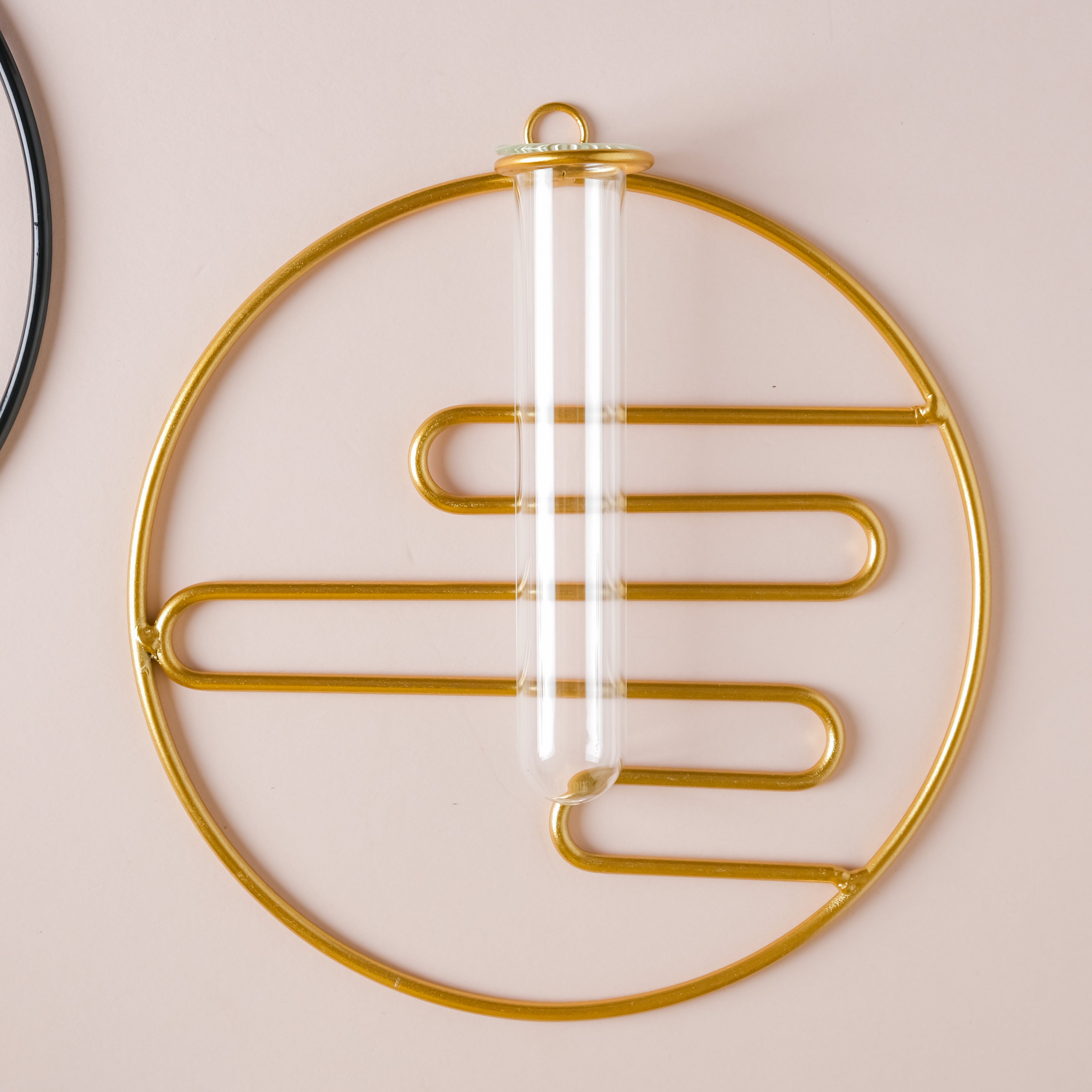 Hanging Glass Planter - Round