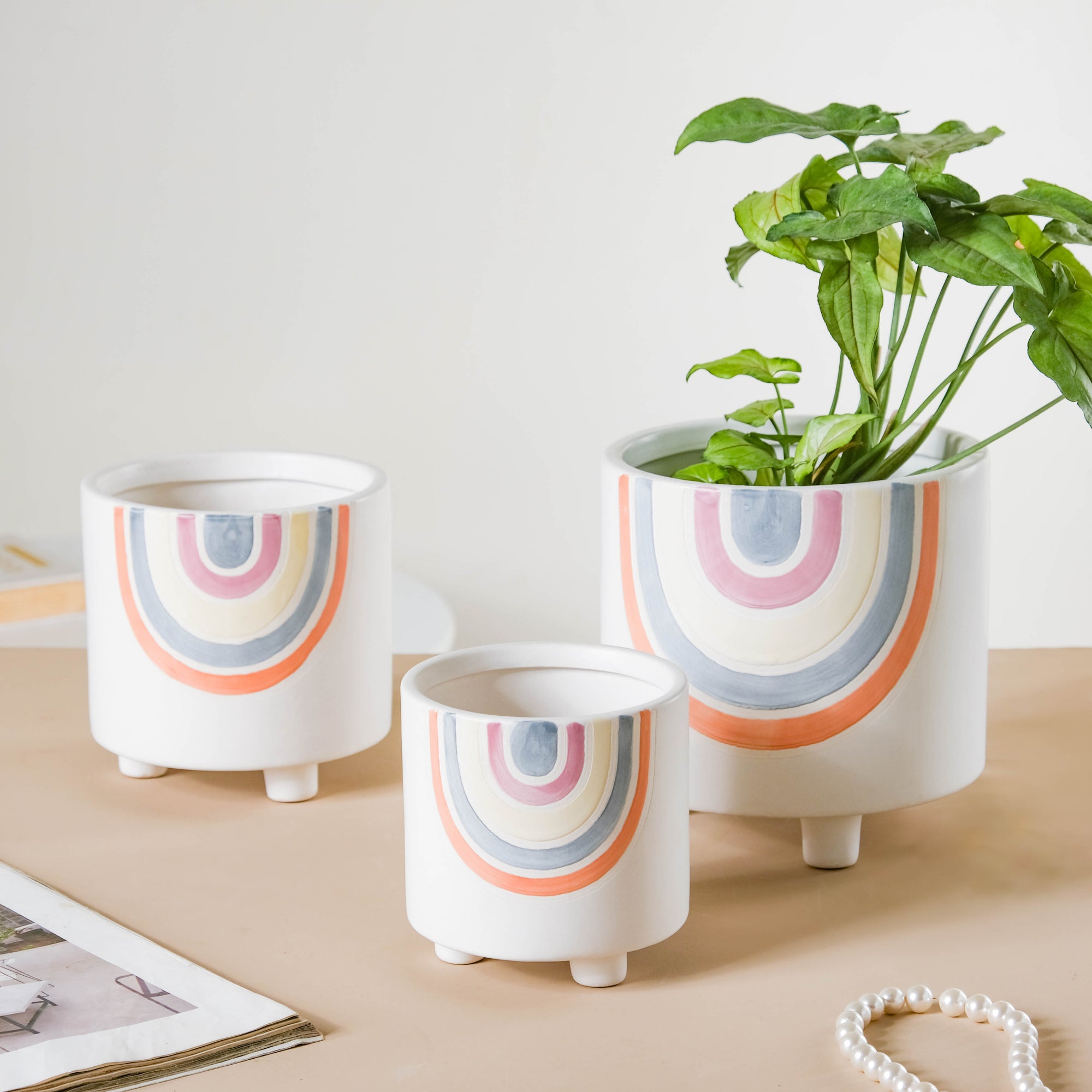Rainbow Round Pot Small Online - Premium Planter | Nestasia
