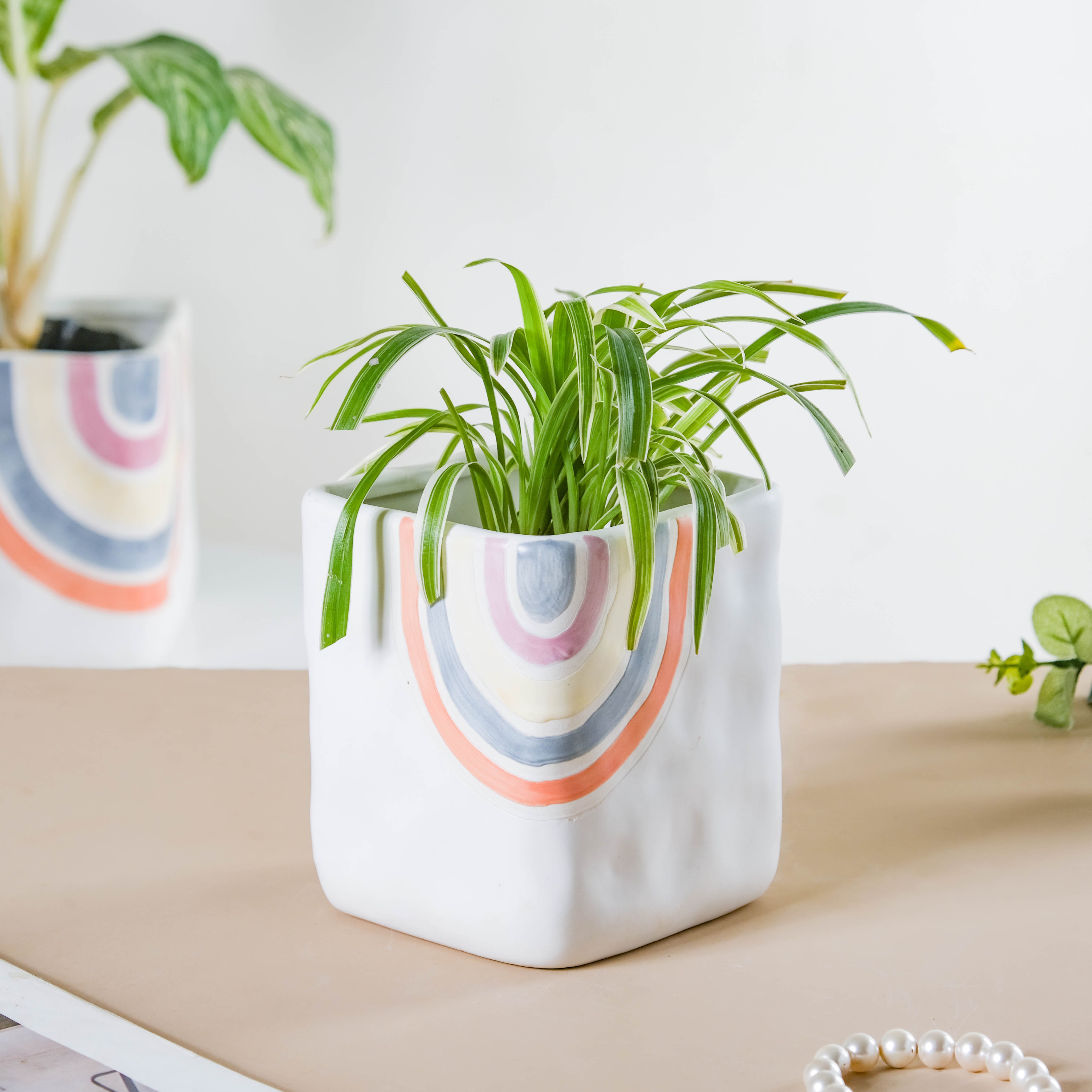 Rainbow Square Pot Small Online - Premium Planter | Nestasia