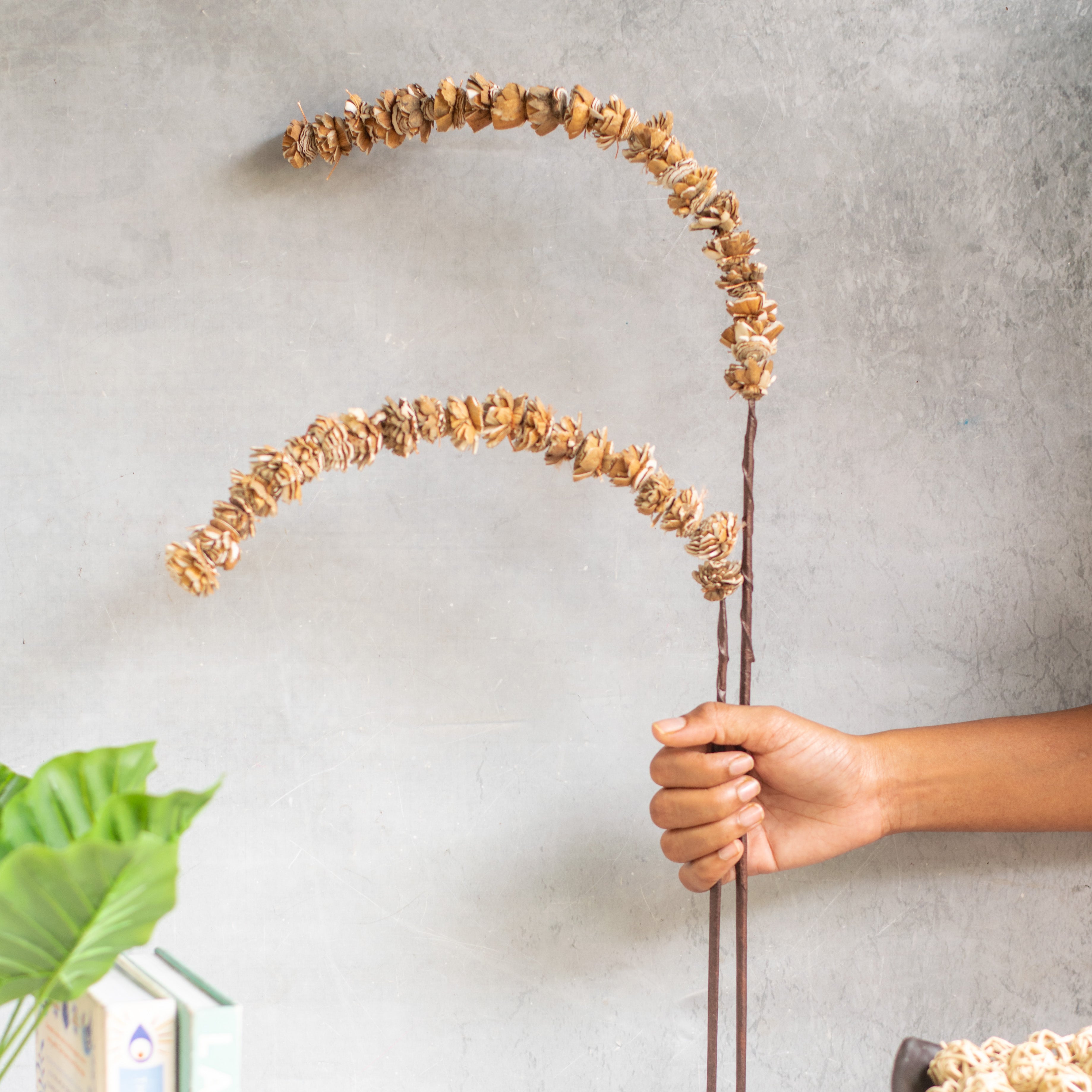 Flower Stick For Vase Online - Premium Dried Flower Stick | Nestasia