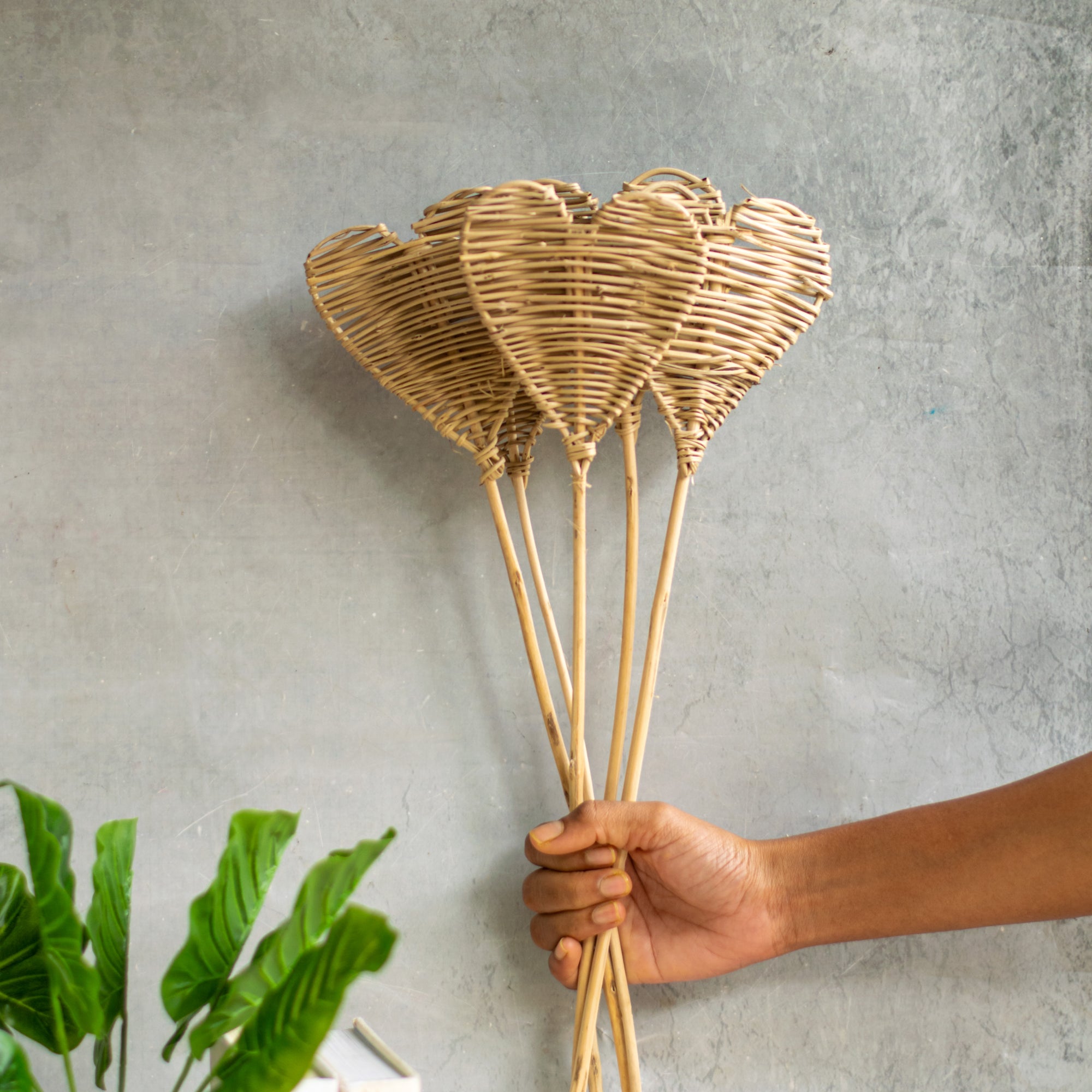 Decorative Stick Online - Premium Dried Flower Stick | Nestasia