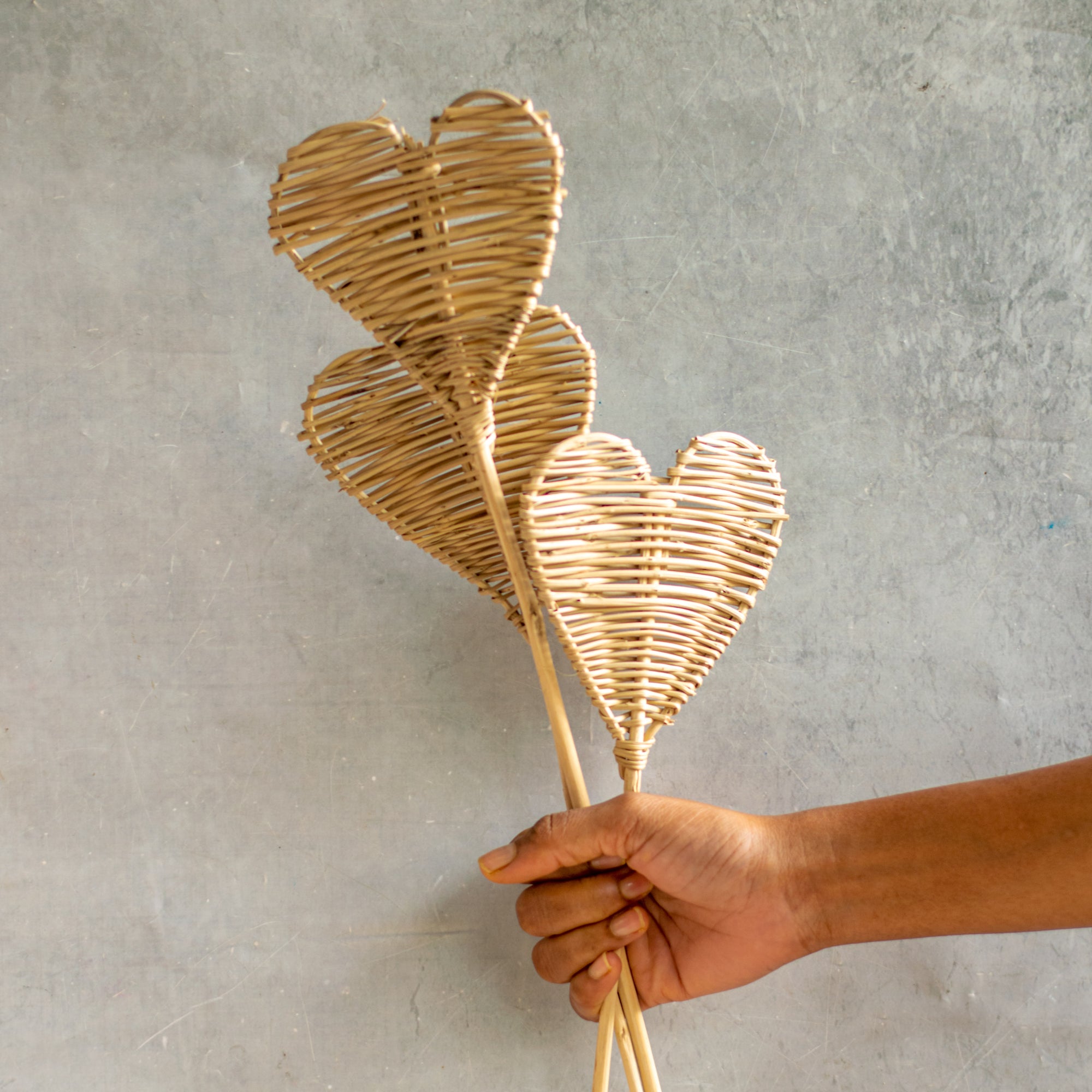 Decorative Stick Online - Premium Dried Flower Stick | Nestasia
