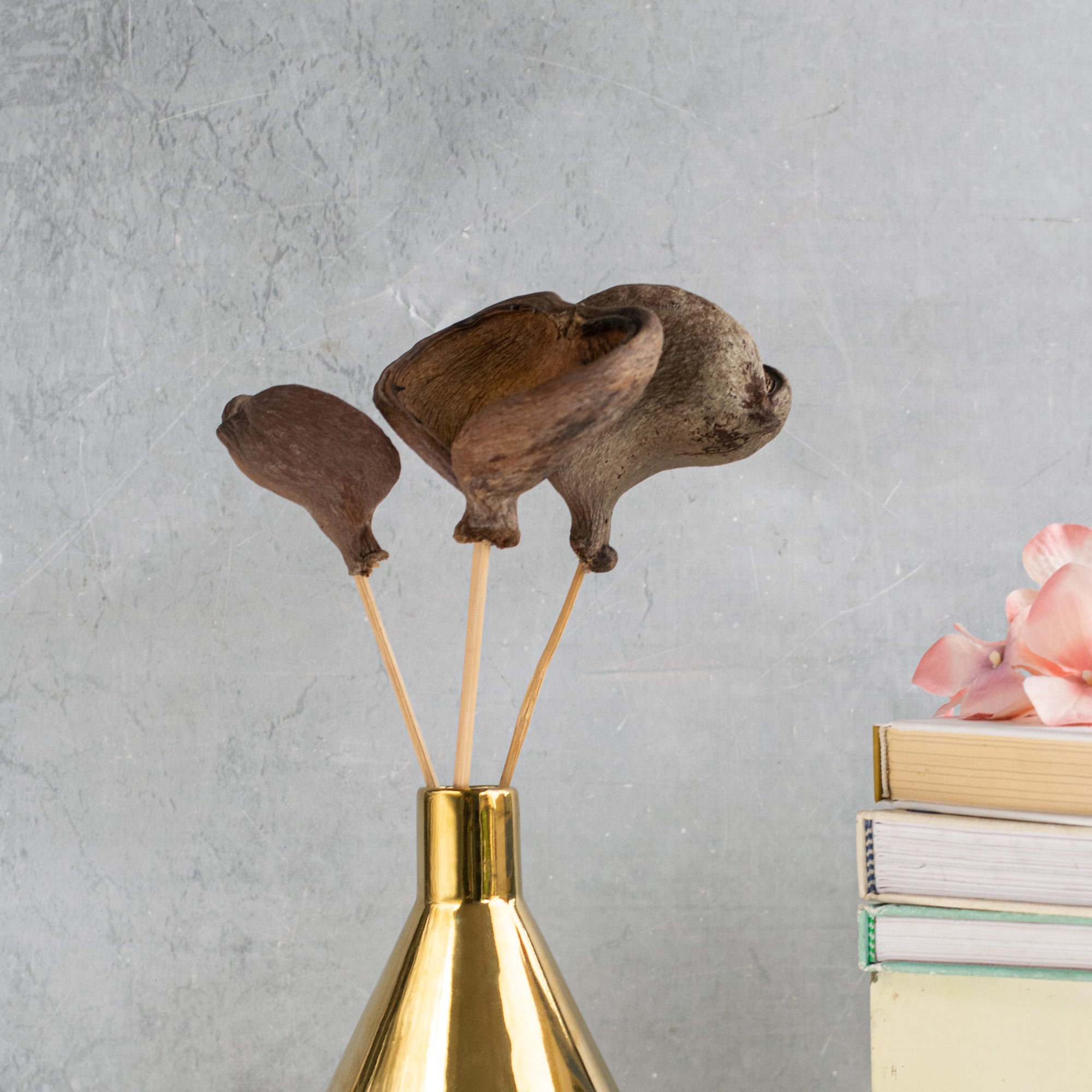 Vase Sticks Online - Premium Dried Flower Stick | Nestasia