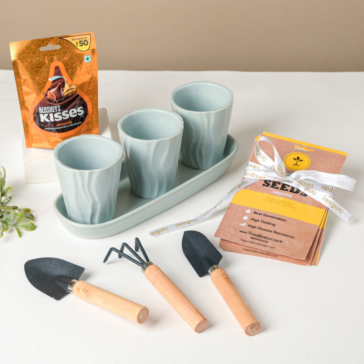 Planter, Tool And Seeds Festive Hamper Set Of 6