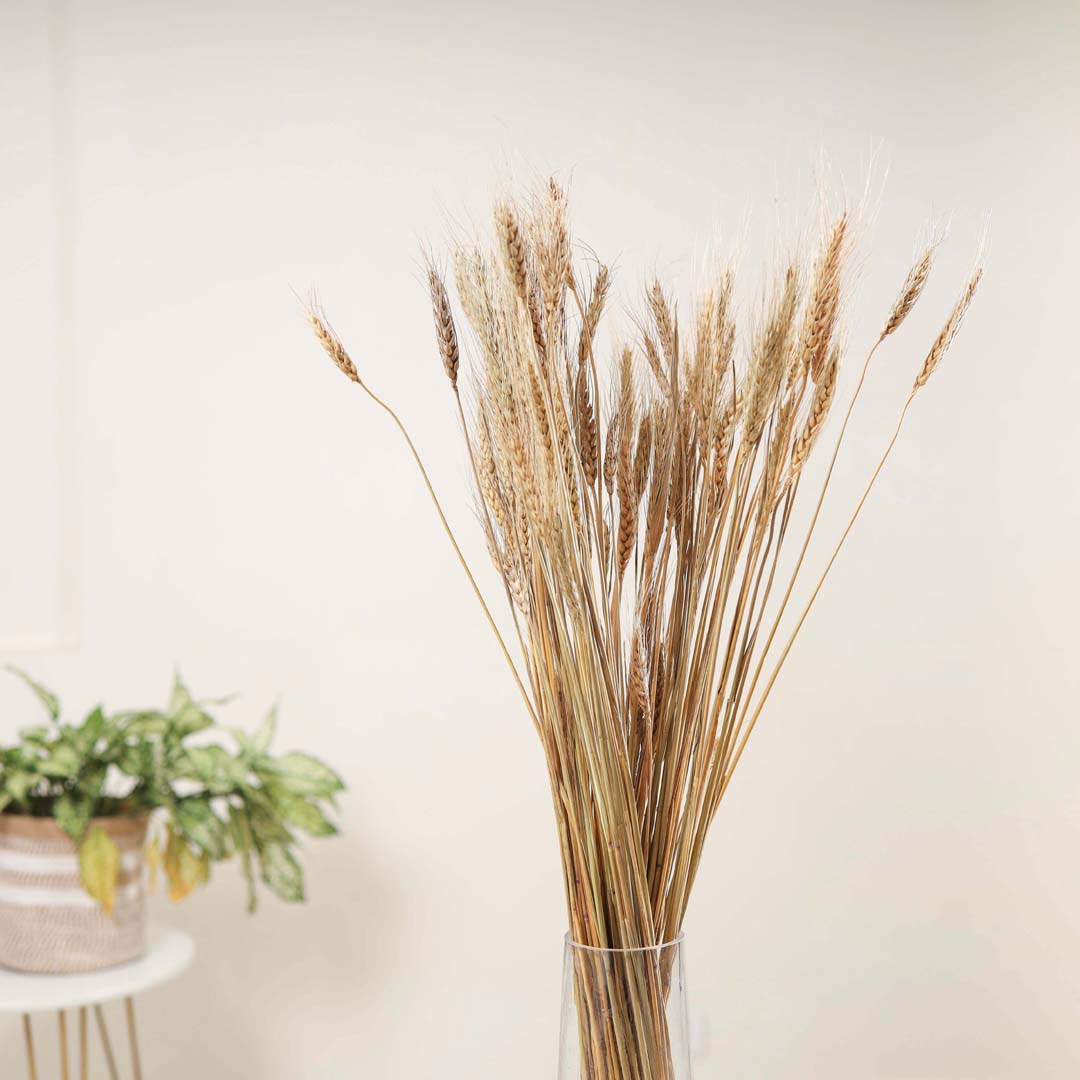 Wheat Bunch Online - Premium Dried Flower Stick | Nestasia