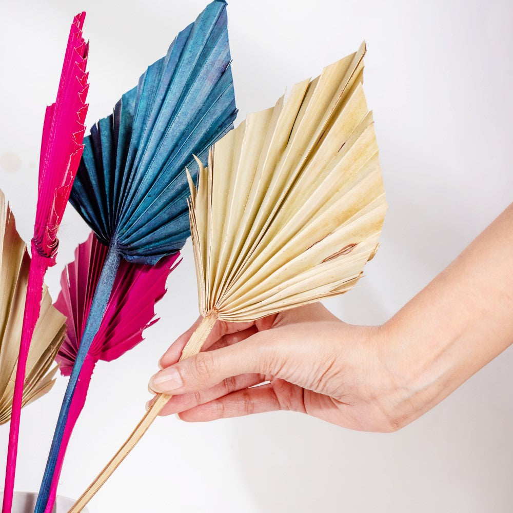 Natural Dried Palm Leaf Bunch 10 Sticks Multicolored