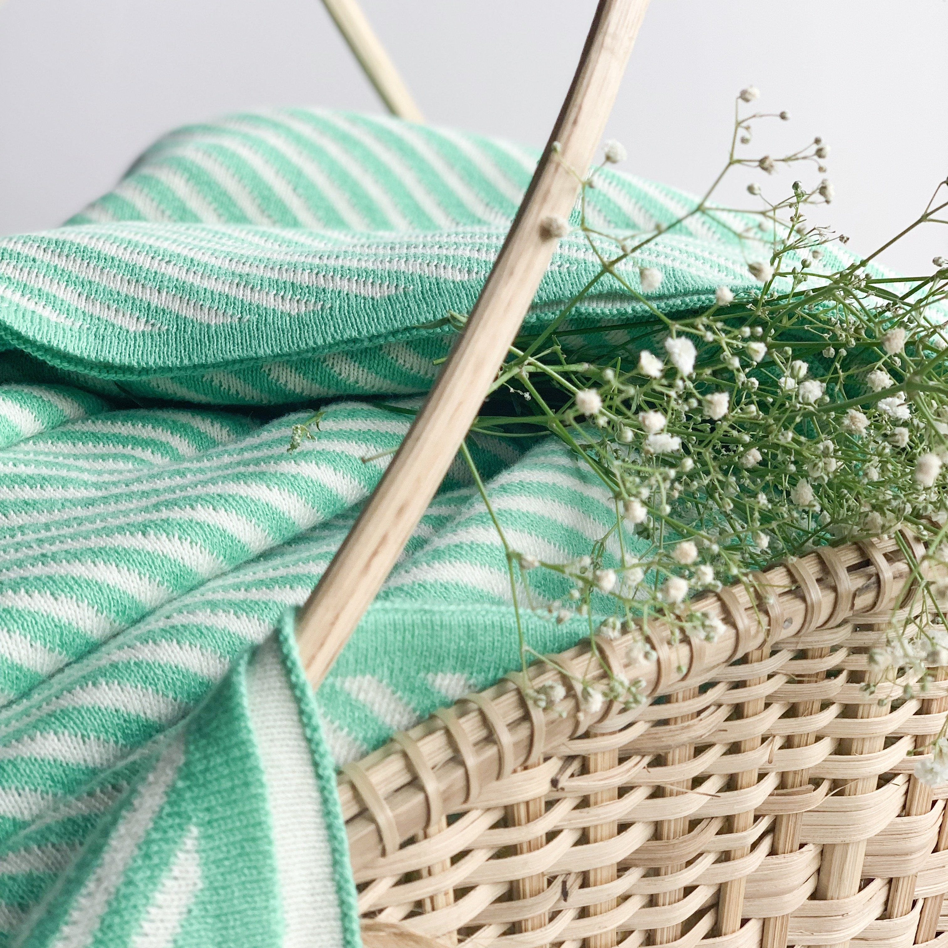 SPRING Stripe Knitted Throw Blanket - Jade Green white Online - Premium ...