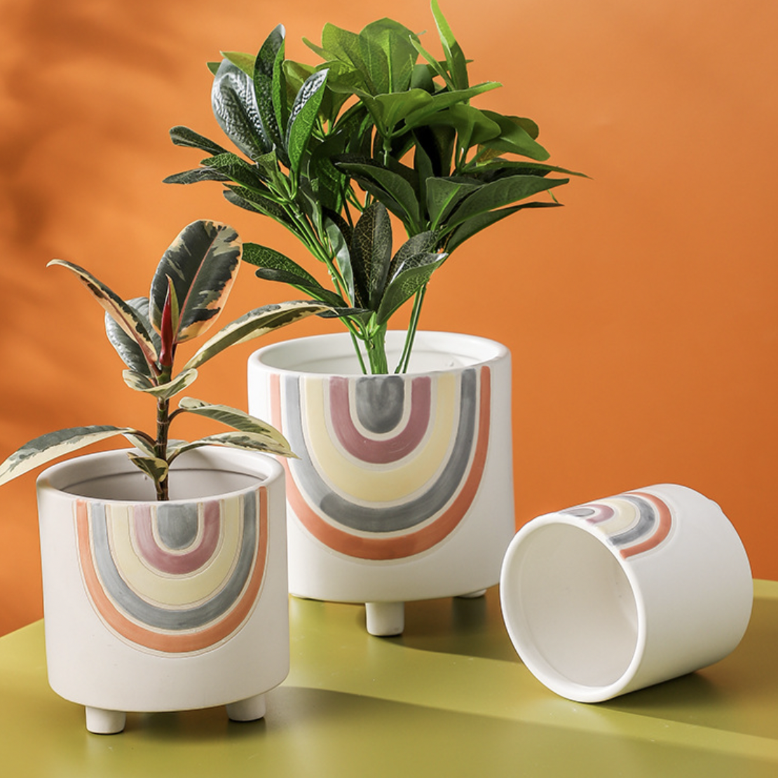 Rainbow Round Pot Small Online - Premium Planter | Nestasia