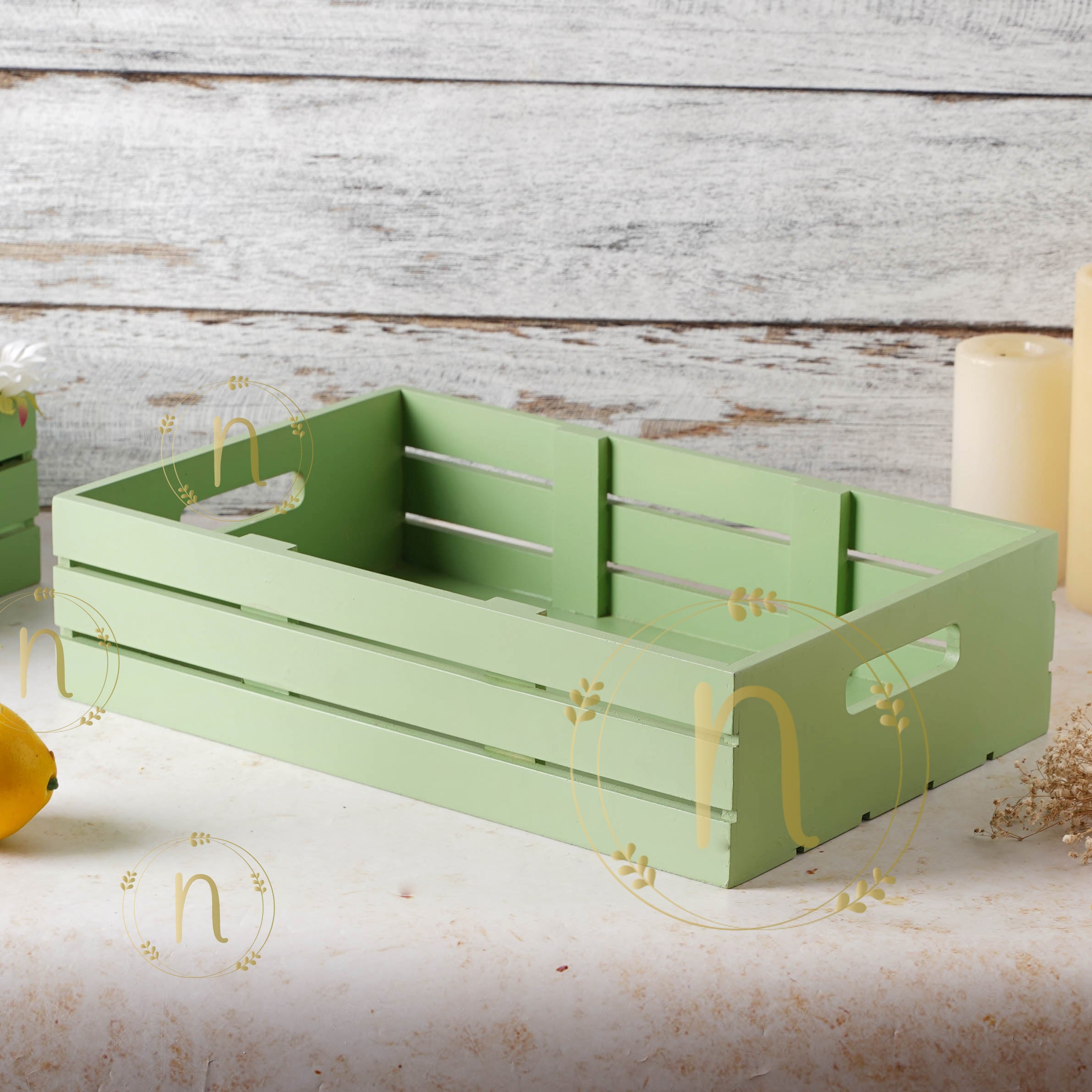 Vegetable Storage Box