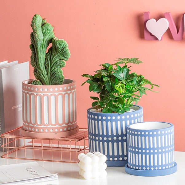 Sculpted Ceramic Pot With Plate Online - Premium Planter | Nestasia