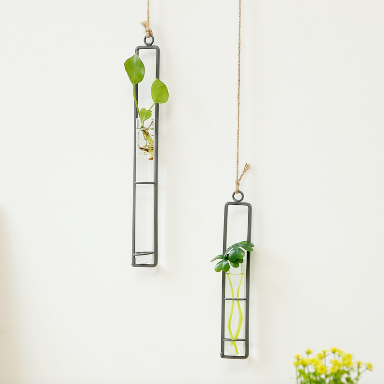 Hanging Flower Vase - Small Online - Premium Wall Planter | Nestasia